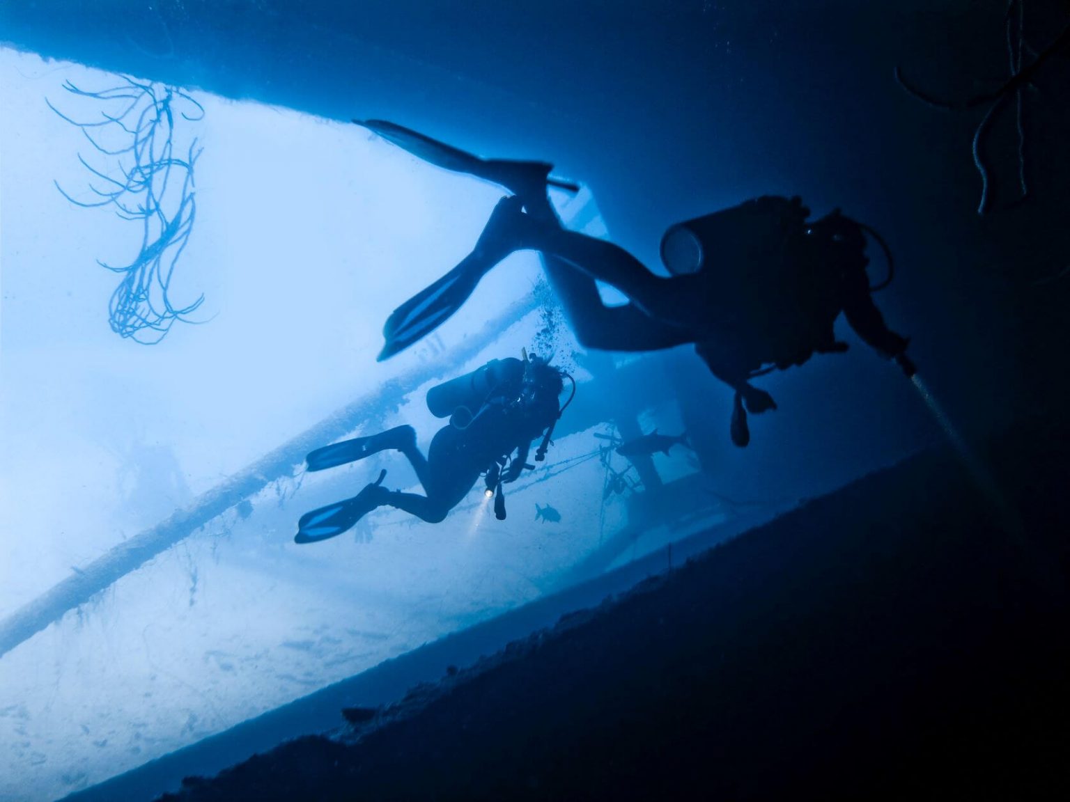 11 Diving In Donegal Spots For An Underwater Adventure! - An Irish Rover