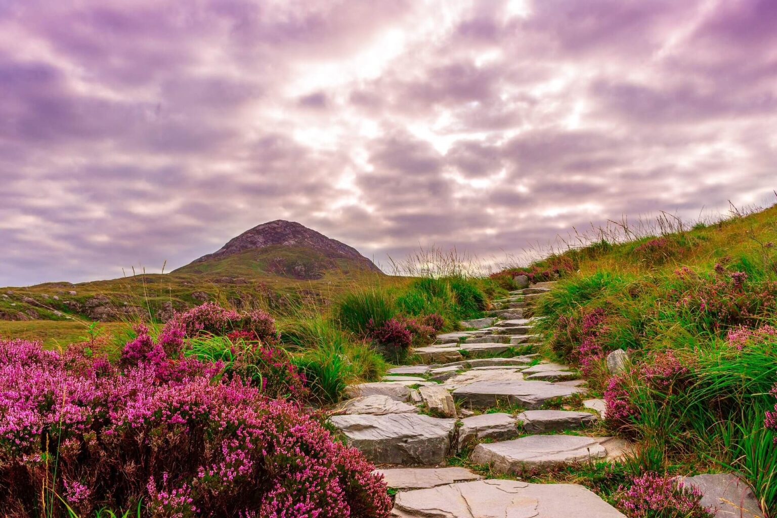 Is Dublin Safe? Local Safety Tips + Areas To Avoid - An Irish Rover